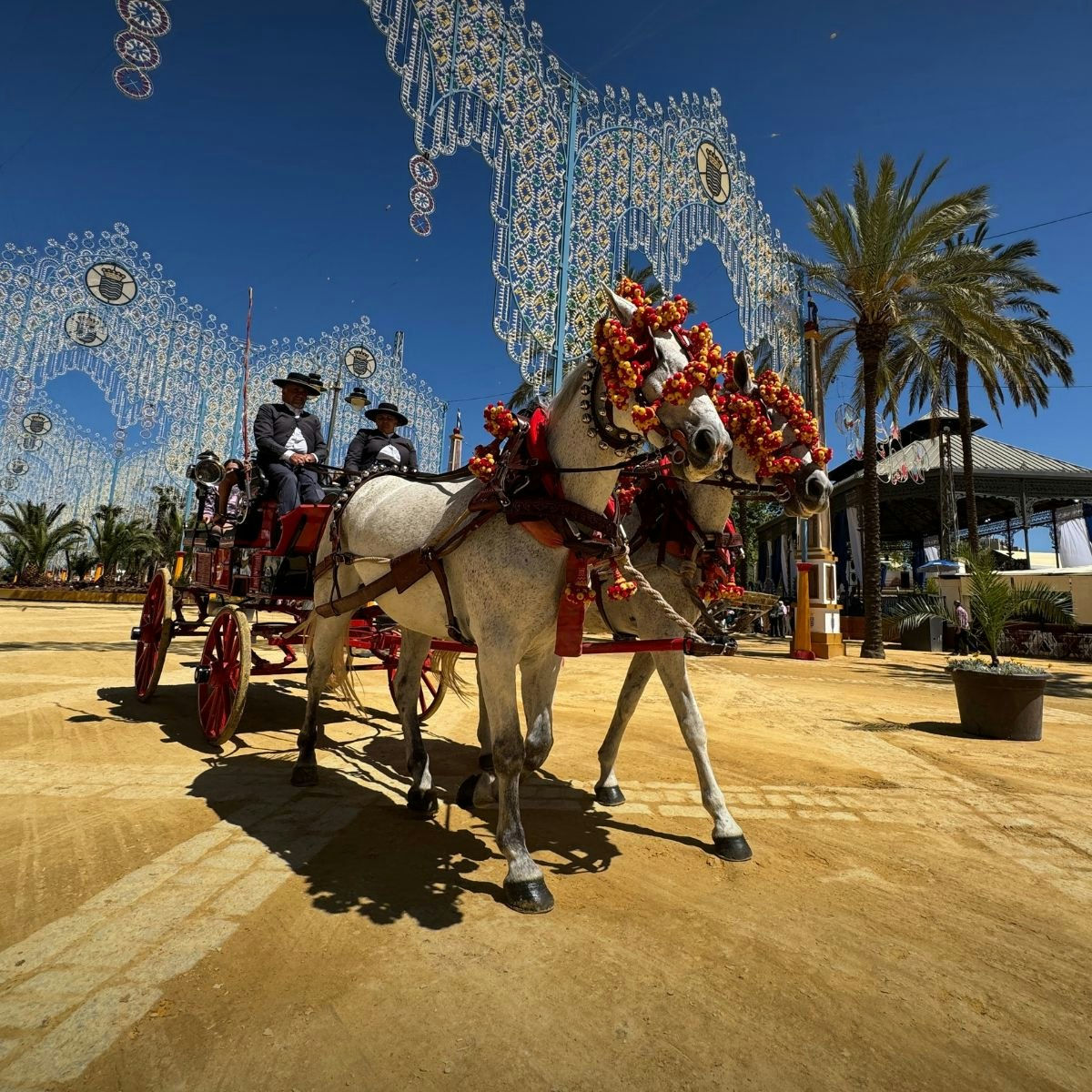 ¿Qué hacer en Jerez en mayo? | Área Sur